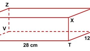 luas permukaan balok – Bimbel Brilian